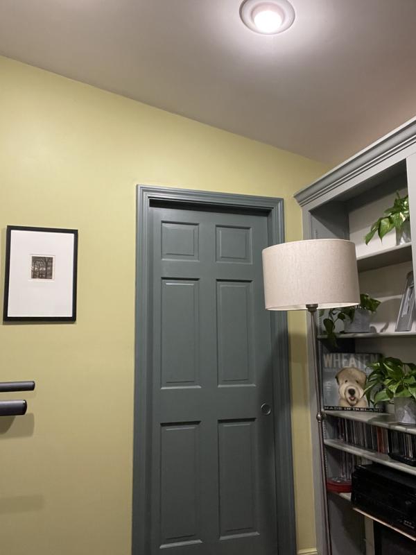 Churlish Green - Farrow & Ball Paint Colour | Paint Online