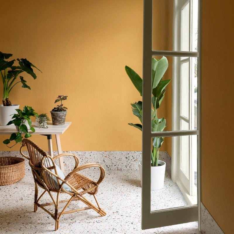 Parasol - Paint And Paper Library Paint Colour No. 508 – Paint Online