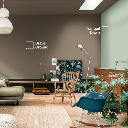 Tranquil Dawn - Dulux Paint Colour – Paint Online