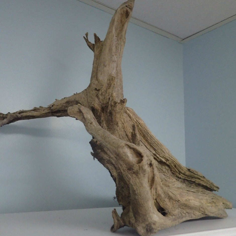 Cape Cod - Dulux Paint Colour – Paint Online