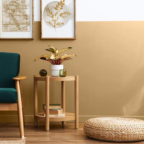 Treacle Pudding - Colourtrend Paint – Paint Online