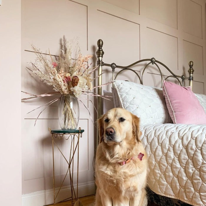 Lowland - Colourtrend Paints – Paint Online