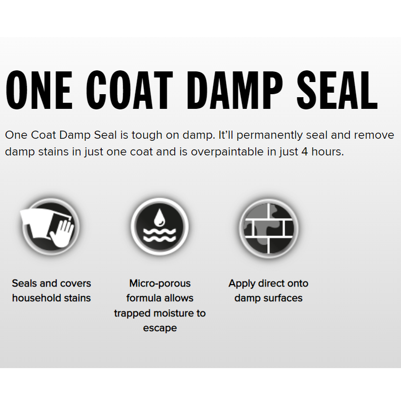 Thompsons One Coat Damp Seal - Stop Damp Stains - Paint Online